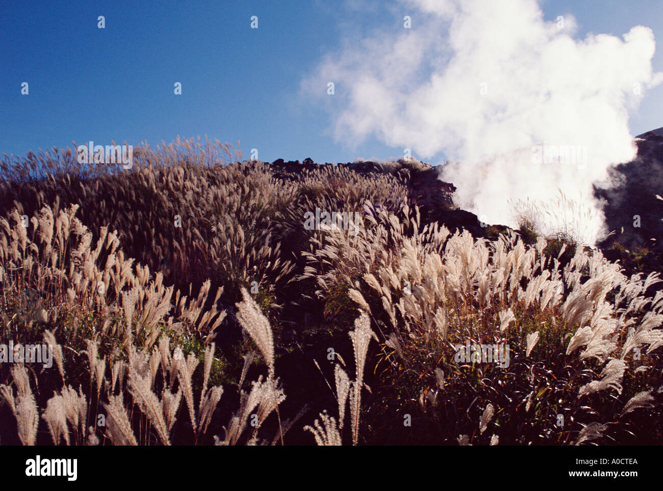 Parc national de kirishima yaku Banque de photographies et d’images à ...