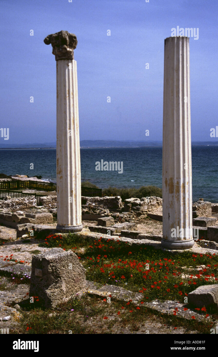 Archaeological site of tharros Banque de photographies et d’images à ...