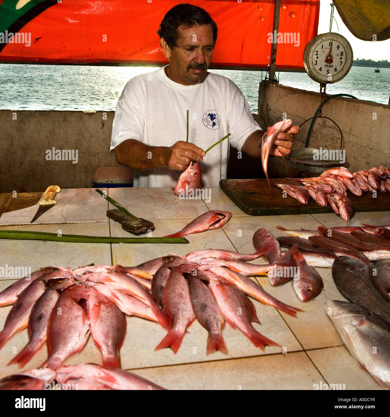 Mexique vendant du poisson Banque de photographies et d’images à haute ...