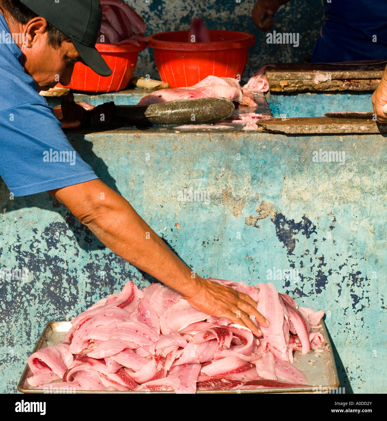 étal de poisson mexique Banque de photographies et d’images à haute ...