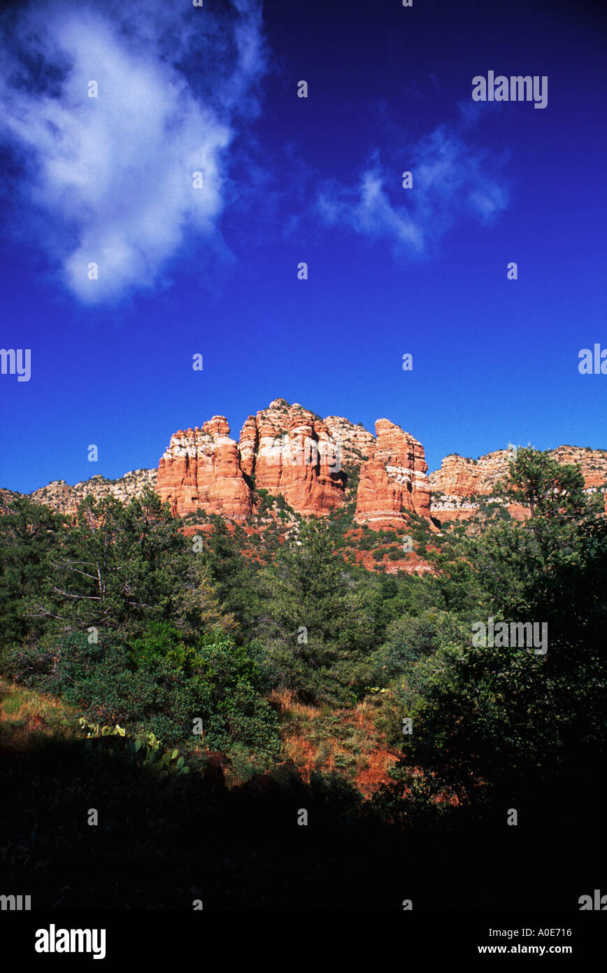 Snoopy rock Banque de photographies et d’images à haute résolution - Alamy