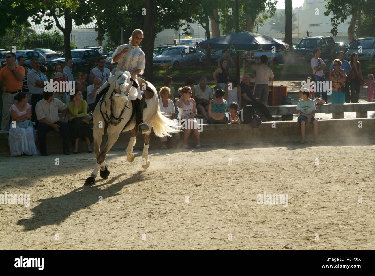 Female torero torera matador bull Banque de photographies et d’images à ...