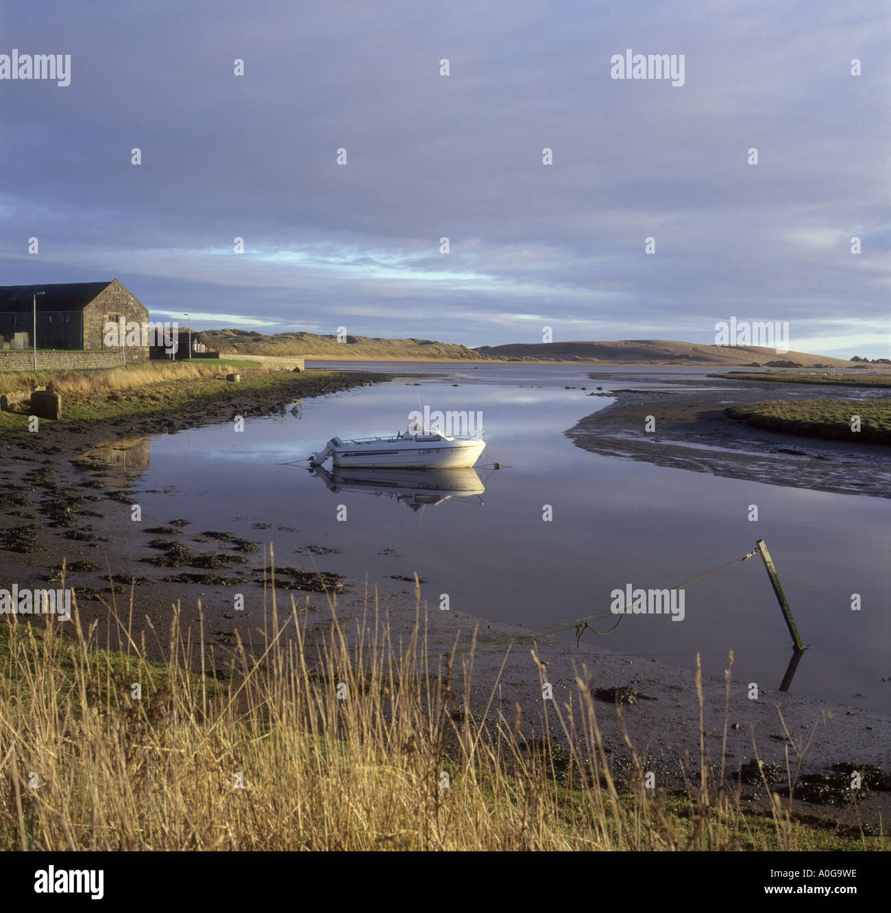 Forvie national nature reserve Banque de photographies et d’images à ...
