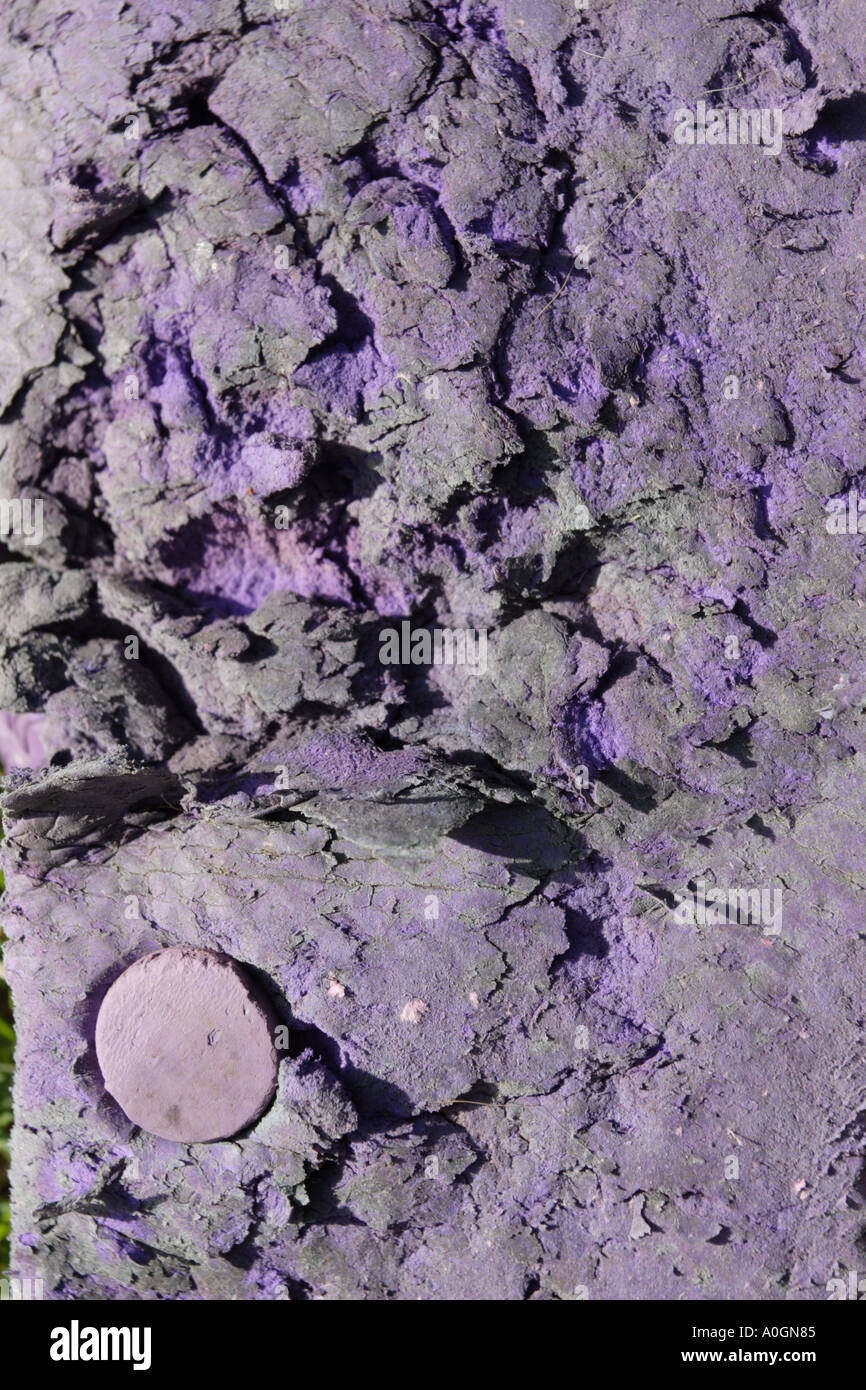 Perished rubber Banque de photographies et d’images à haute résolution - Alamy