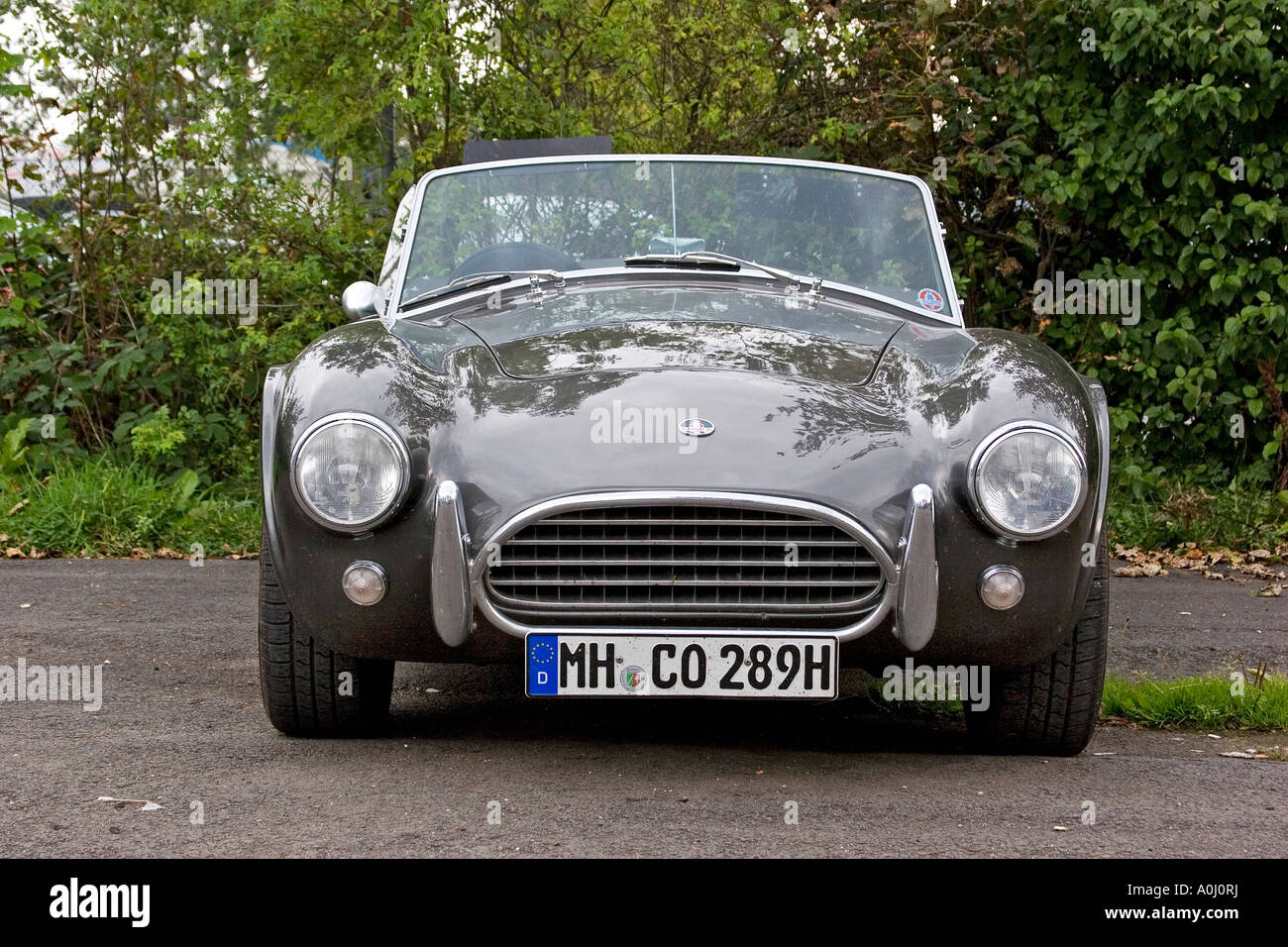 Ac cobra 289 Banque de photographies et d’images à haute résolution - Alamy