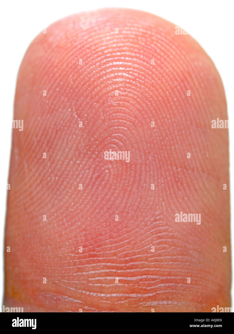 Empreinte digitale peau scientific Banque de photographies et d’images ...
