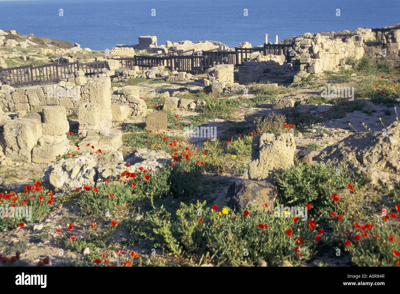 Phéniciens Banque de photographies et d’images à haute résolution - Alamy