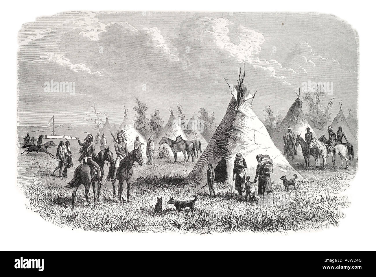 Sioux indian buffalo Banque de photographies et d’images à haute ...