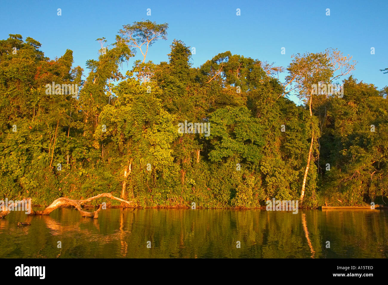Un beau coucher de soleil sur le lac Sandoval dans la réserve de ...