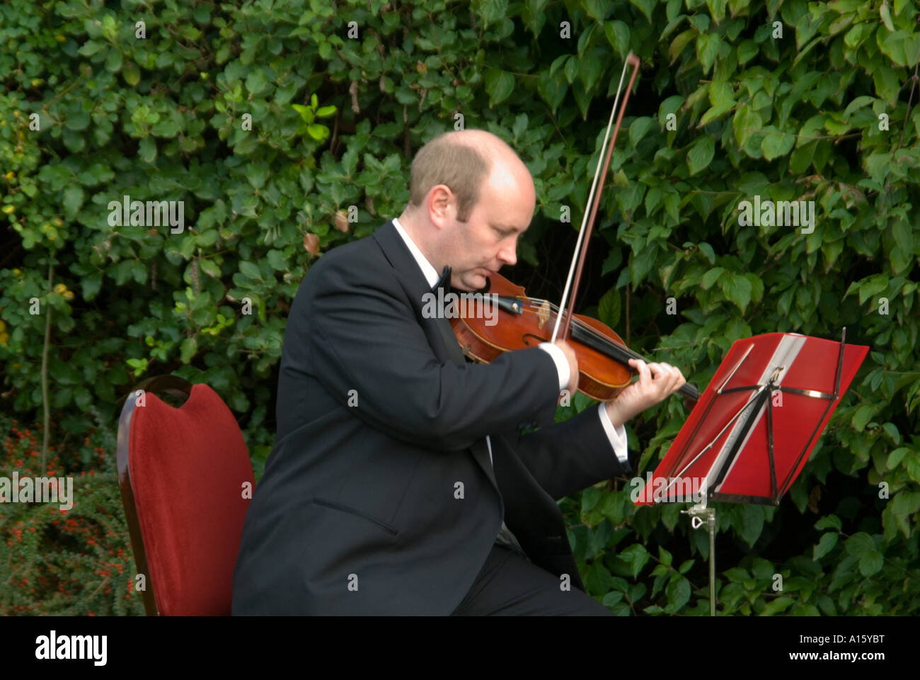 Violoniste assise Banque de photographies et d’images à haute ...