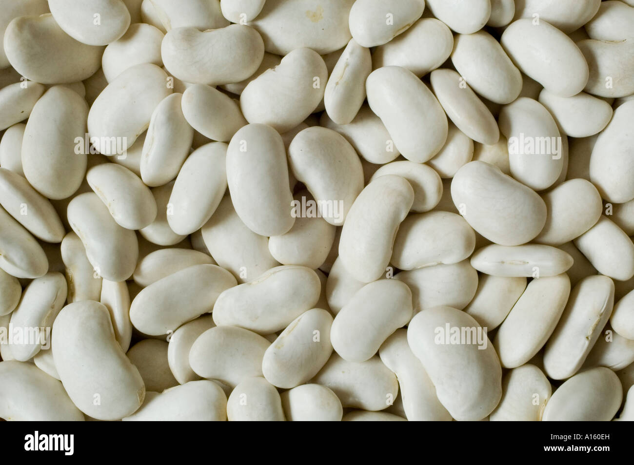 Giant beans Banque de photographies et d’images à haute résolution - Alamy