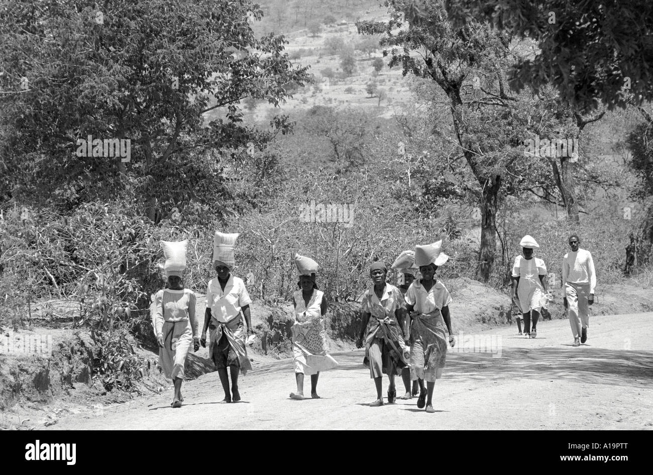 White women zimbabwe Banque de photographies et d’images à haute ...