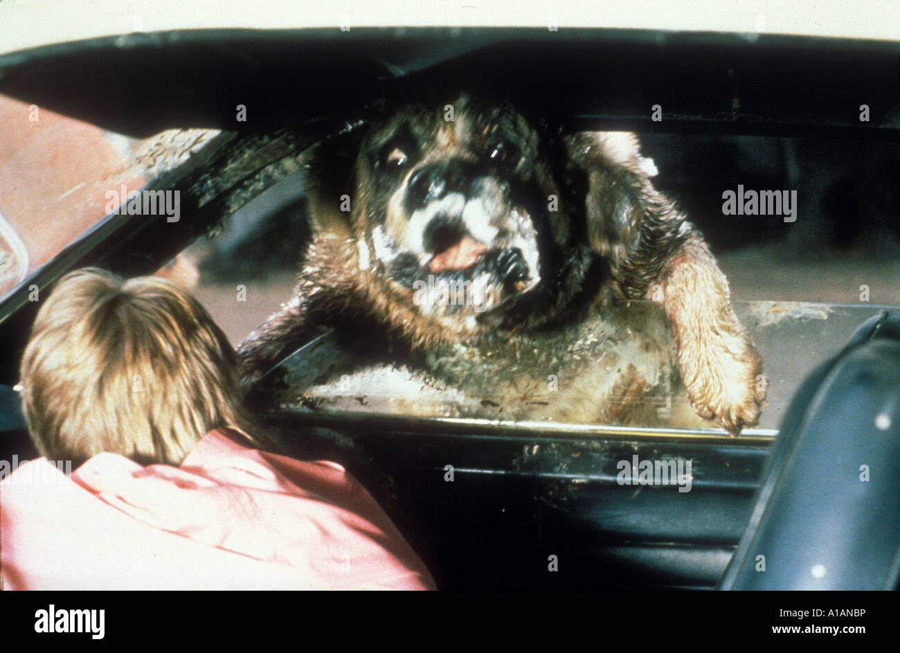 Stephen king Banque de photographies et d’images à haute résolution - Alamy