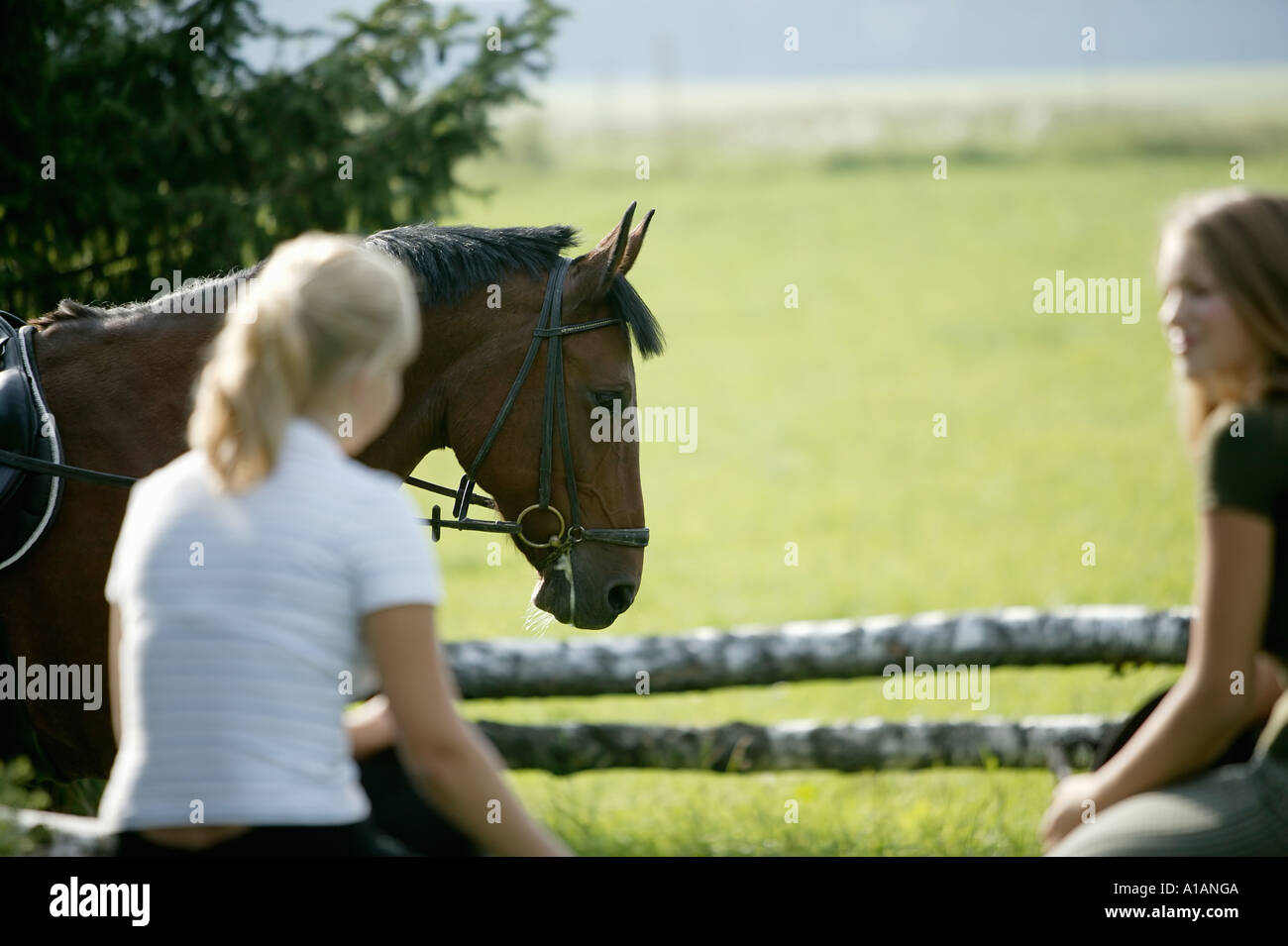 Femmes et un cheval blanc Banque de photographies et d’images à haute ...