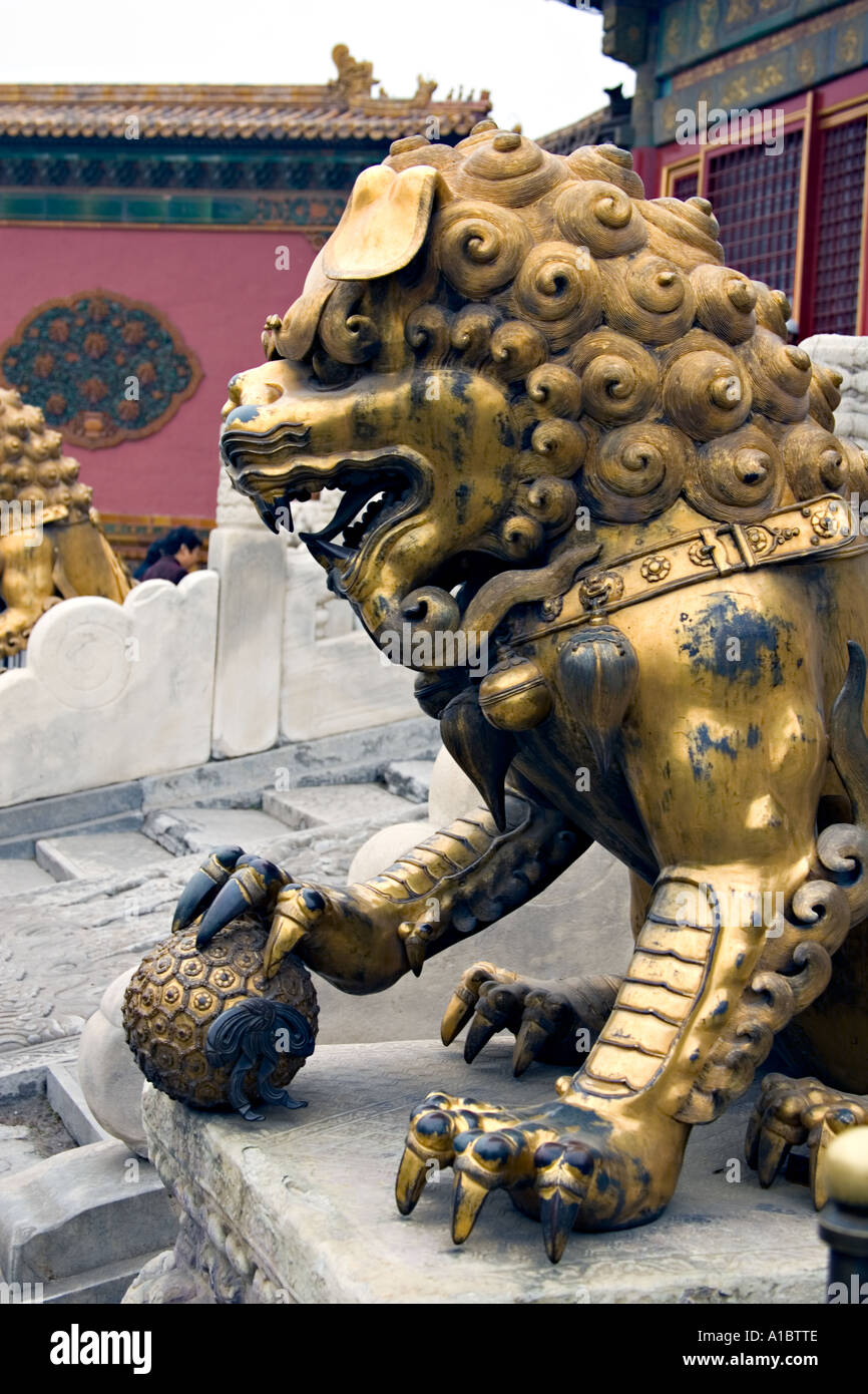 Chine Pékin La Cité Interdite la statue en bronze d'un lion mâle avec ...