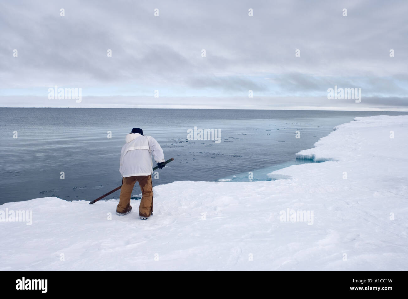 inupiat baleinier construit une rampe sur une piste ouverte pour mettre ...