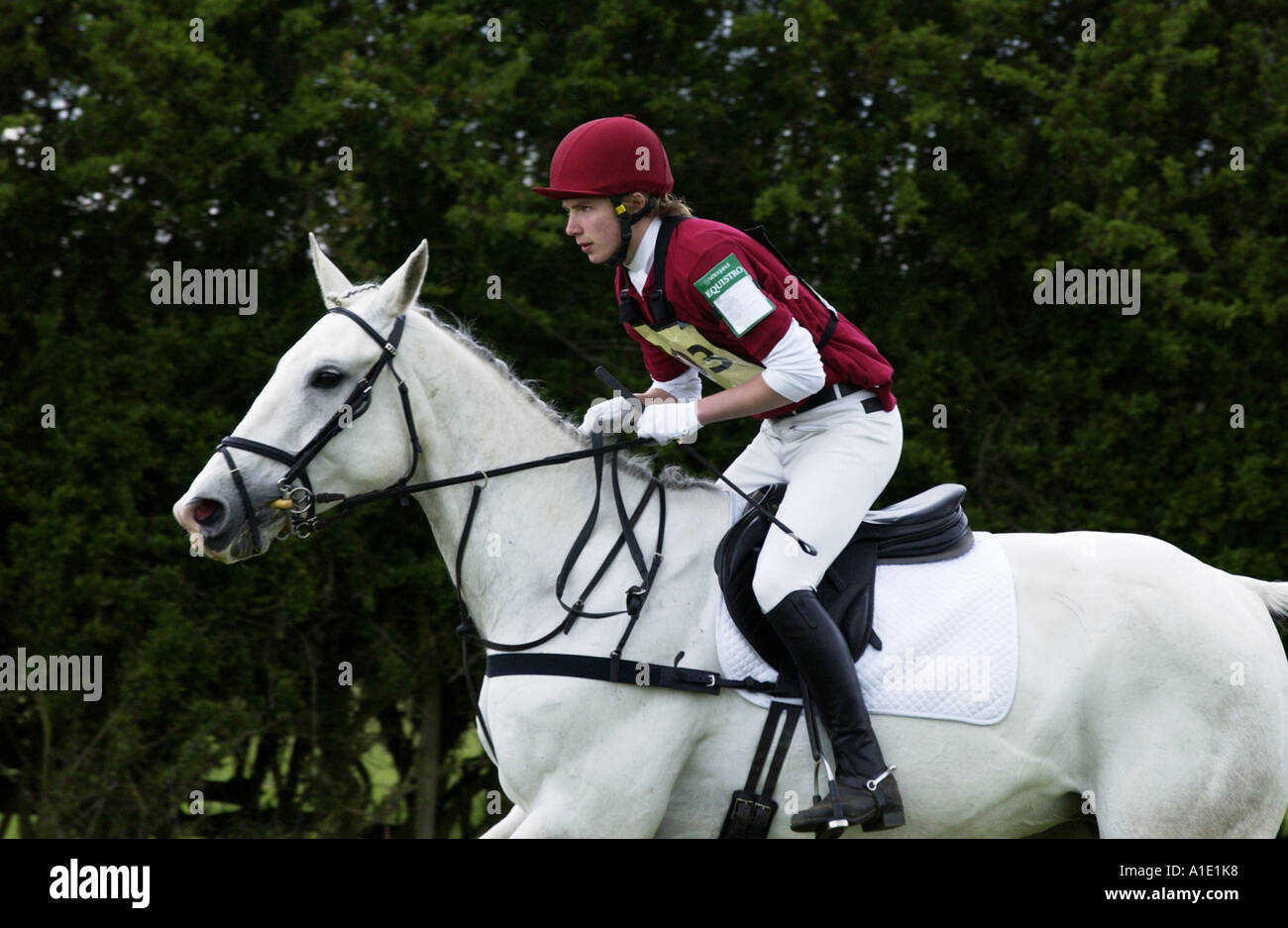 Jeune homme conduit une jument grise dans un cheval de concours complet ...