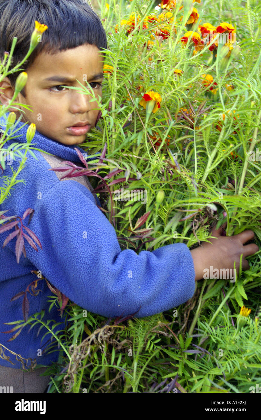 Kalga village Banque de photographies et d’images à haute résolution ...