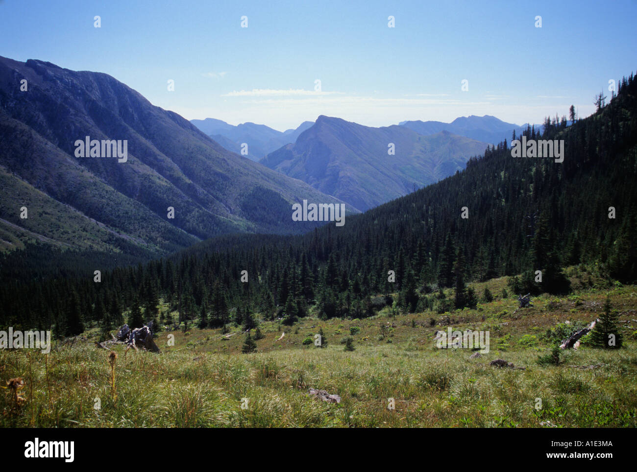 Bob marshall wilderness Banque de photographies et d’images à haute ...