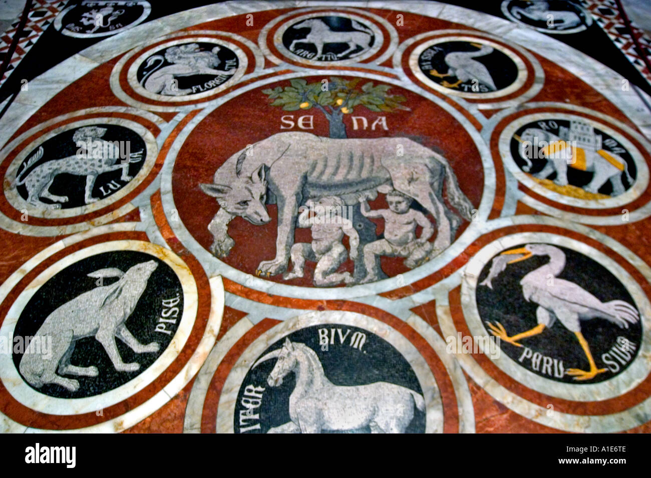 Amulius and rome Banque de photographies et d’images à haute résolution ...