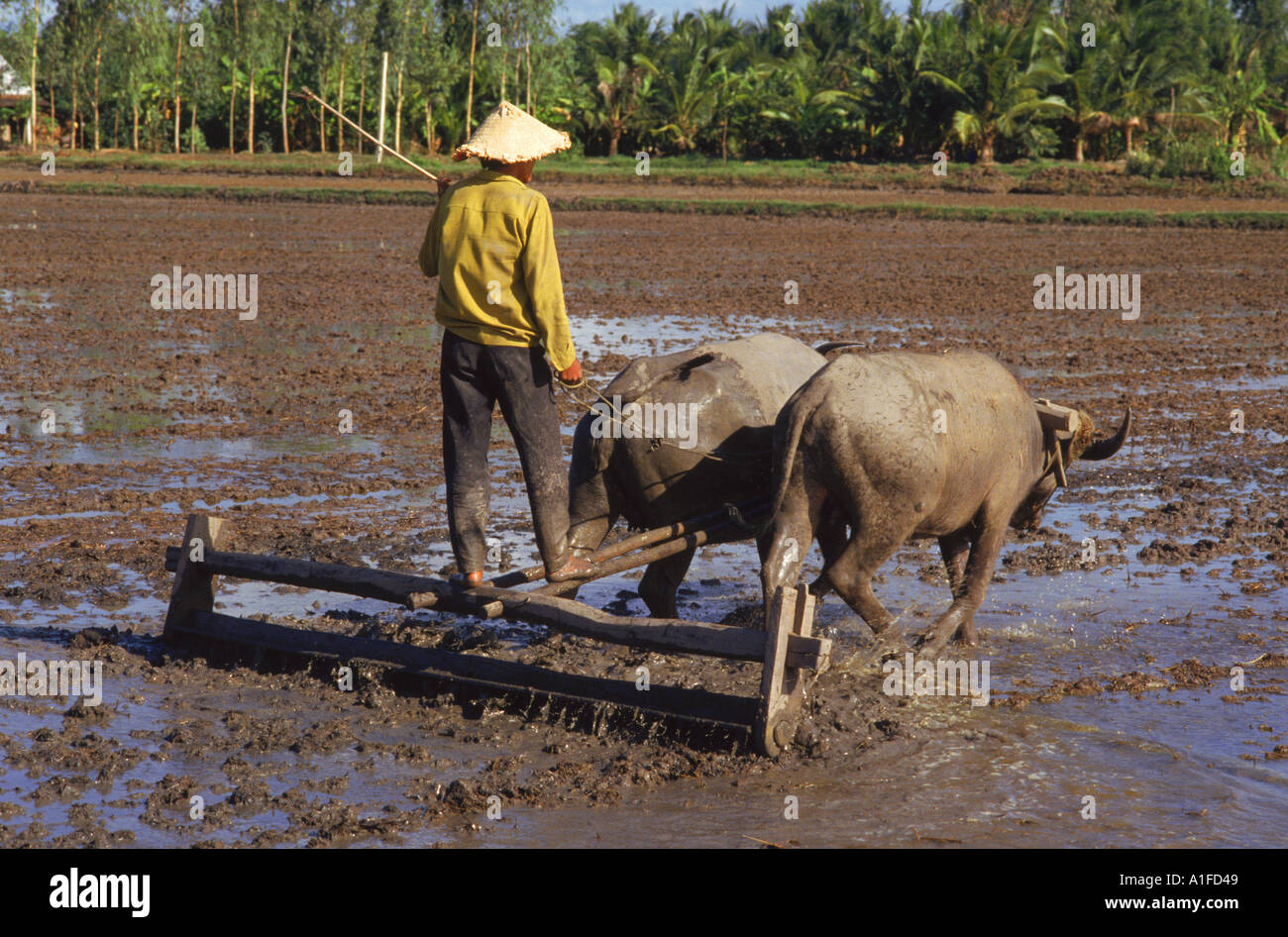 Agriculture ploughing farmer plough drawing Banque de photographies et ...