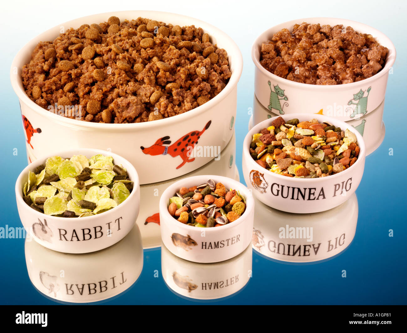 La nourriture pour animaux Banque de photographies et d’images à haute ...