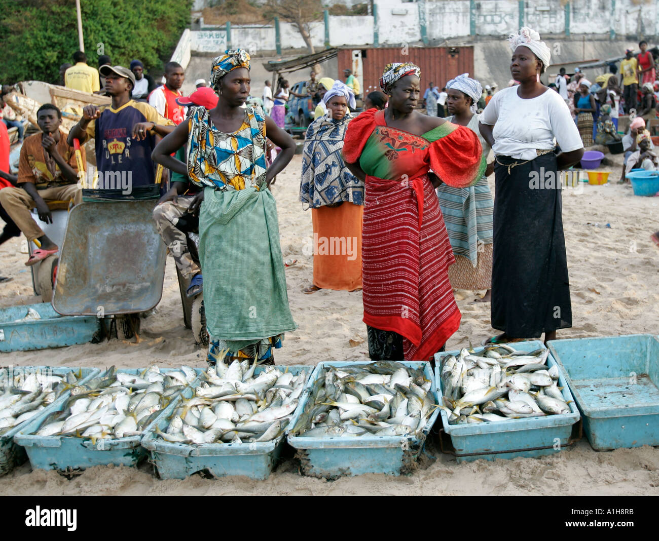 Lady fish gambia Banque de photographies et d’images à haute résolution ...