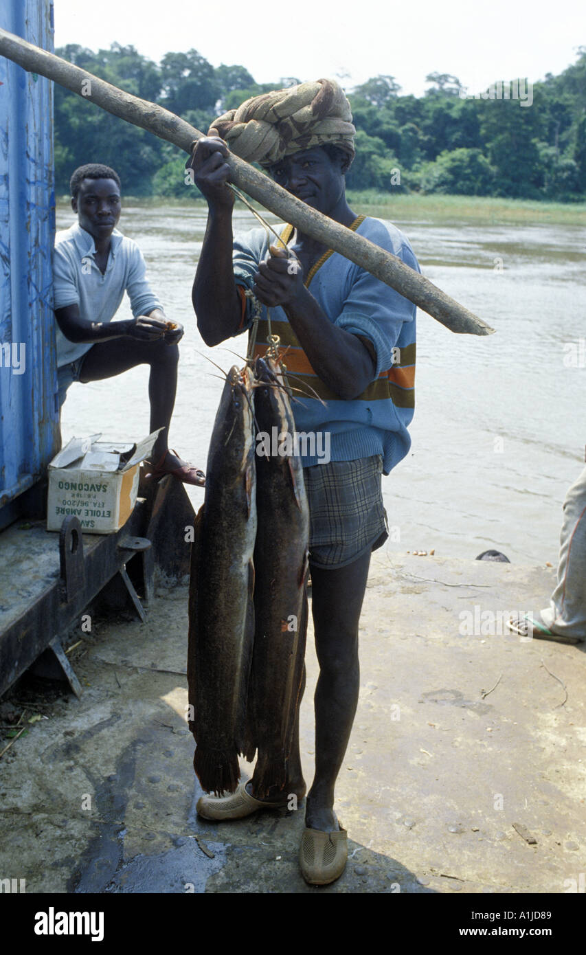 Poisson chat du congo Banque de photographies et d’images à haute ...