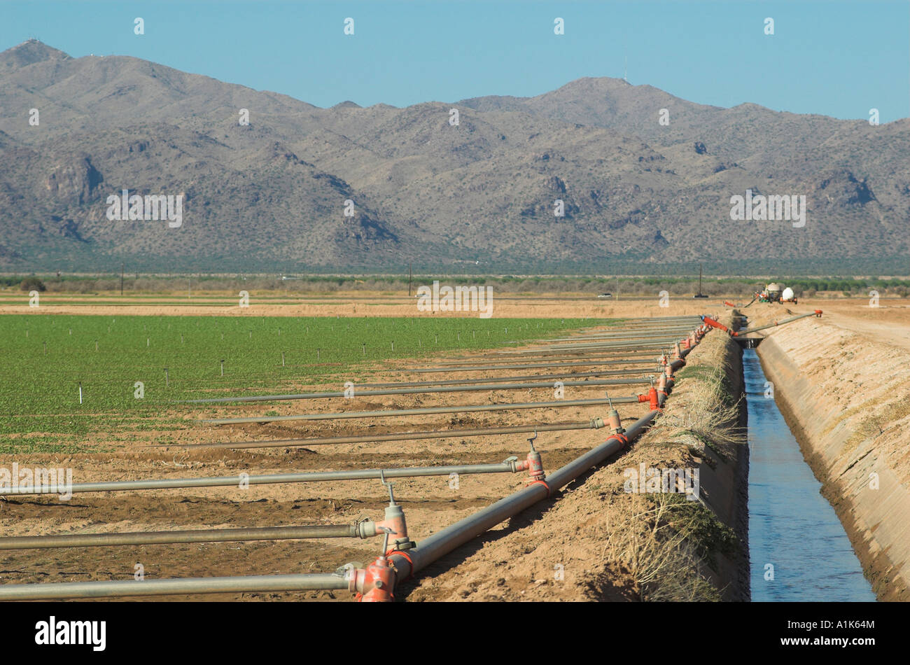 Vue d'un petit canal d'irrigation, avec des tuyaux d'irrigation menant ...