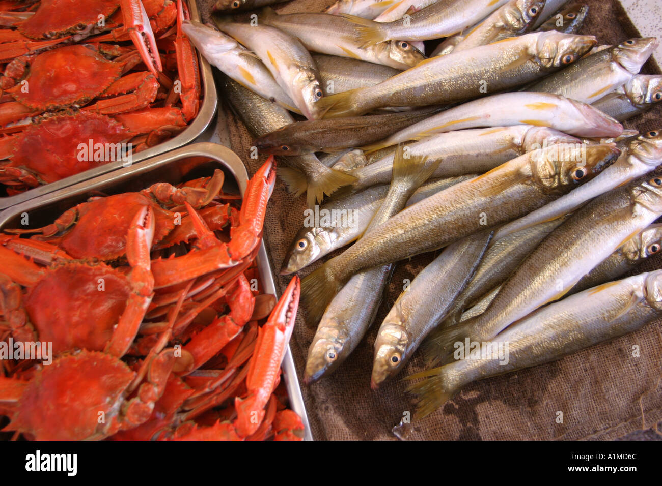 Merlan cuit Banque de photographies et d’images à haute résolution - Alamy
