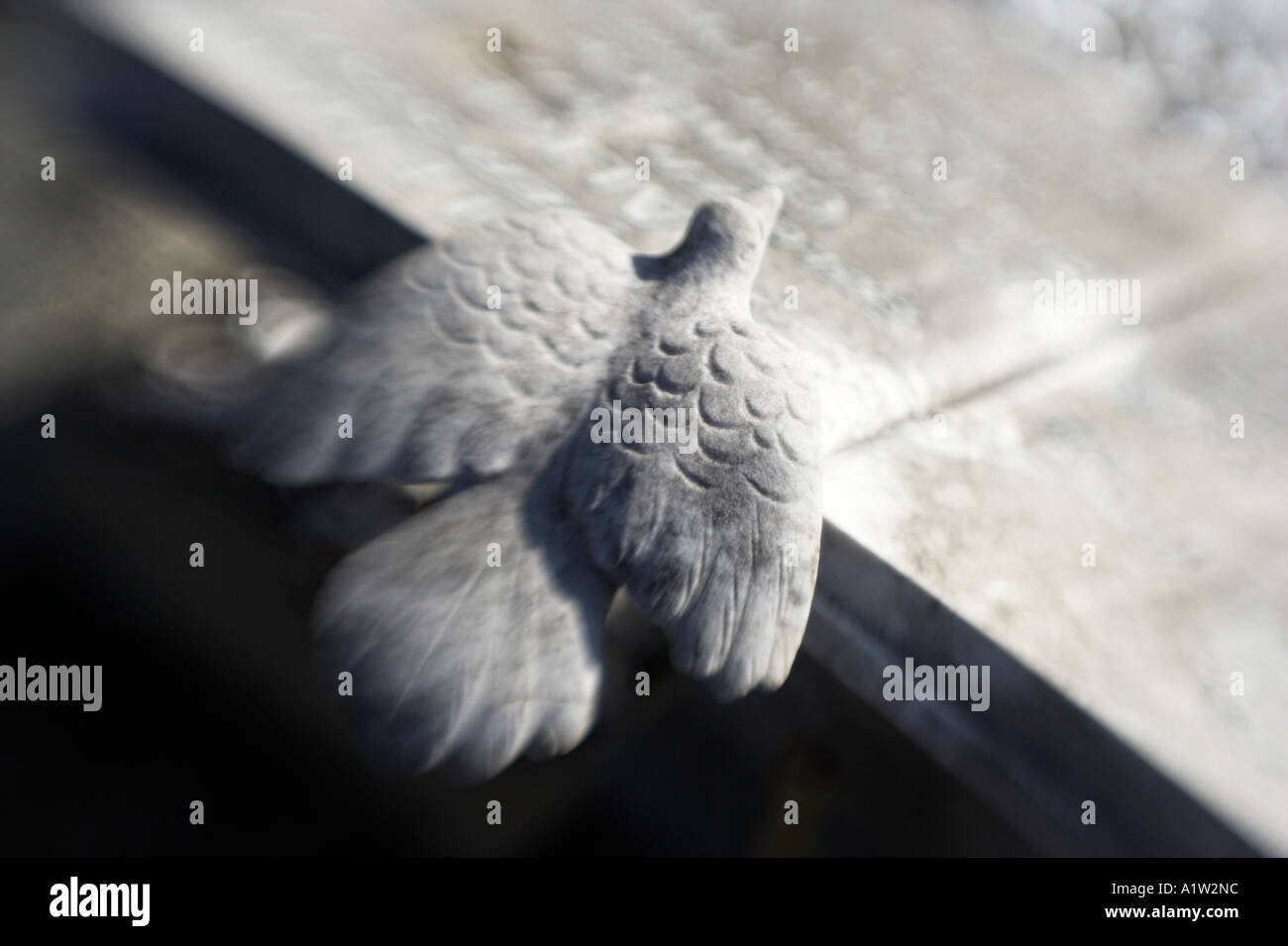 Colombe de marbre Banque de photographies et d’images à haute ...