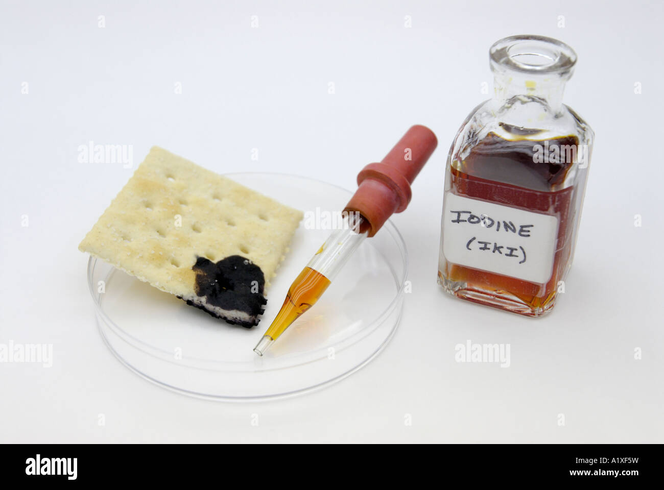 Iodine starch Banque de photographies et d’images à haute résolution ...