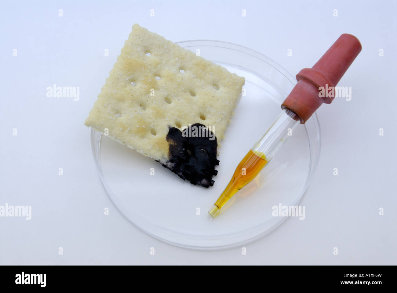 Iodine starch test Banque de photographies et d’images à haute ...