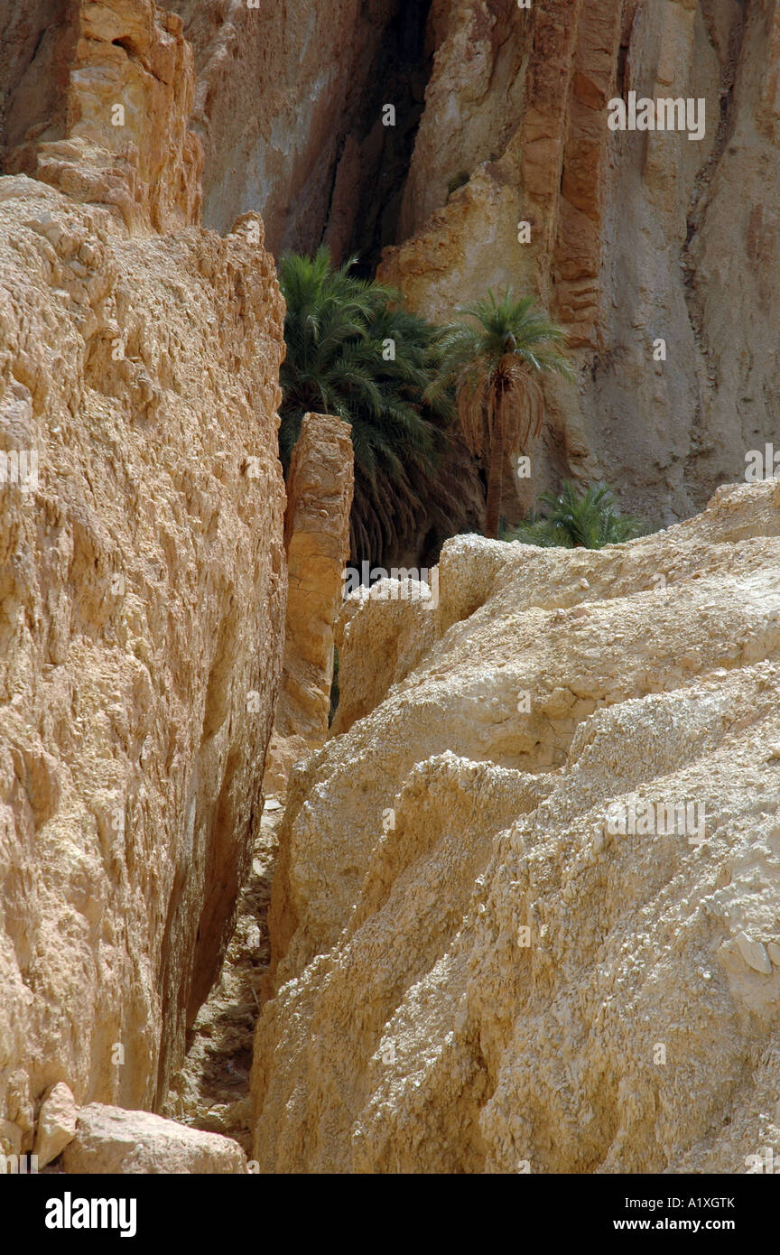 Paysage de gorge de montagnes de chebika Banque de photographies et d’images à haute résolution ...