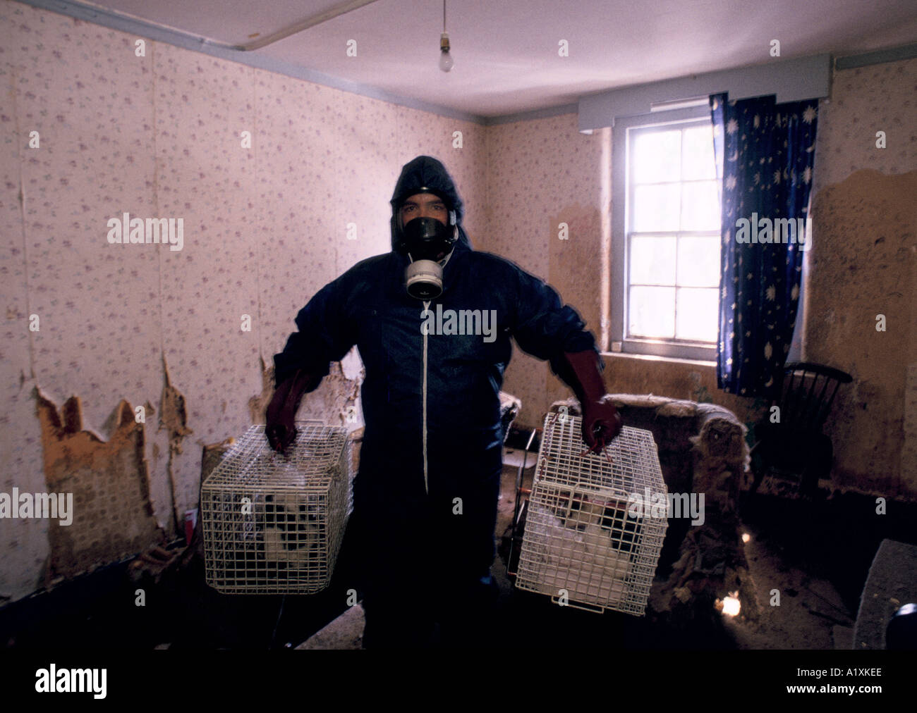 Rspca rescue Banque de photographies et d’images à haute résolution - Alamy