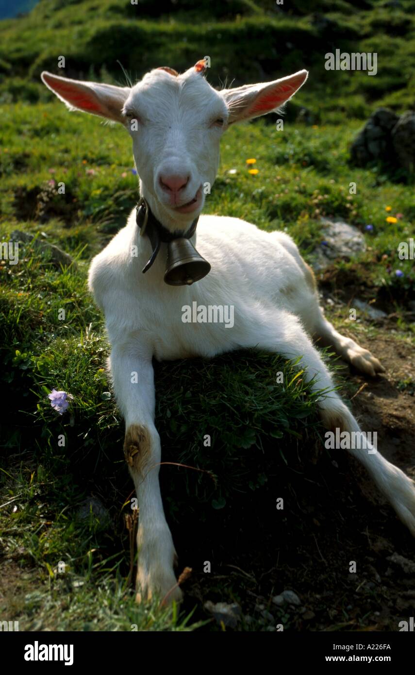 Billy sanders Banque de photographies et d’images à haute résolution ...