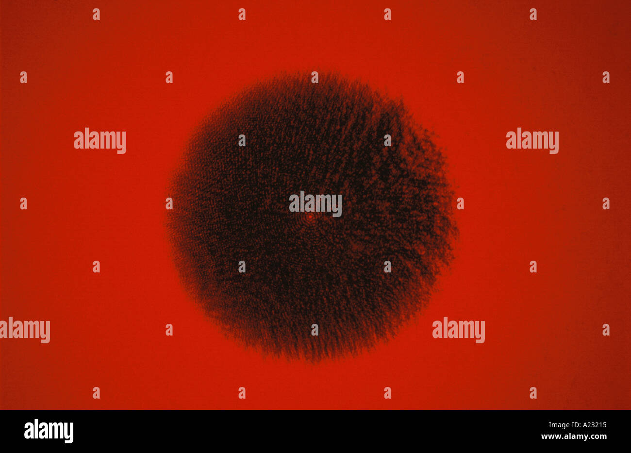 Diffraction de la lumiere Banque de photographies et d’images à haute ...