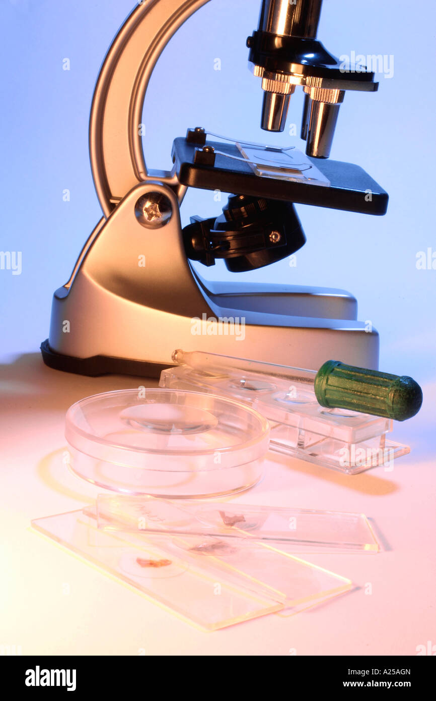 Microscope optique observation Banque de photographies et d’images à ...