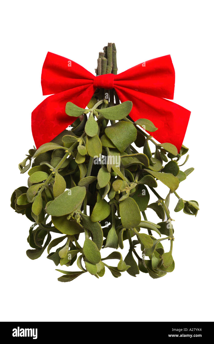 Couper le gui Banque d'images détourées - Alamy