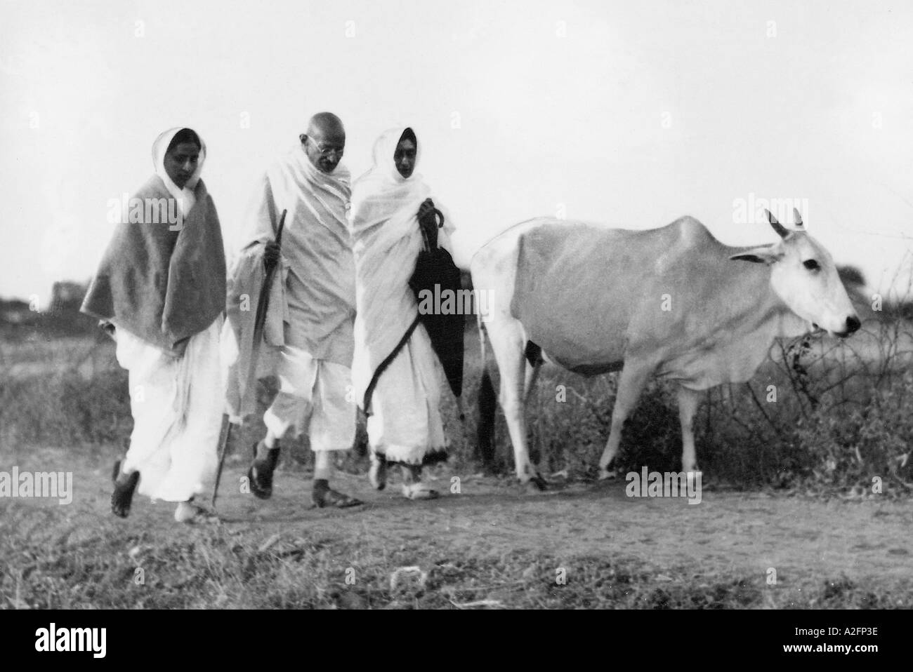 Mahatma Gandhi Walking Sevagram Ashram Banque d'image et photos - Alamy