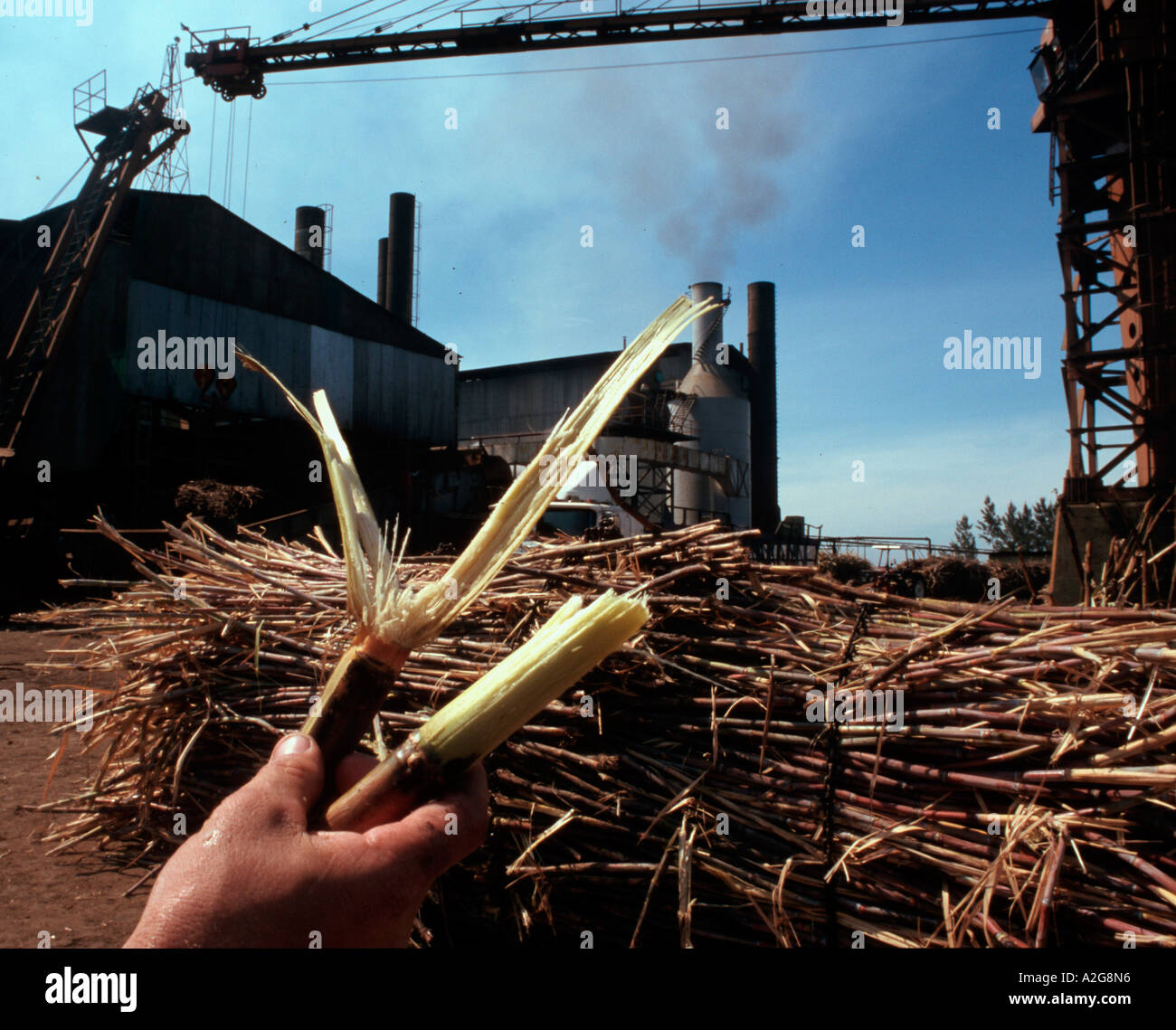 Usine de raffinage du sucre Banque de photographies et d’images à haute ...