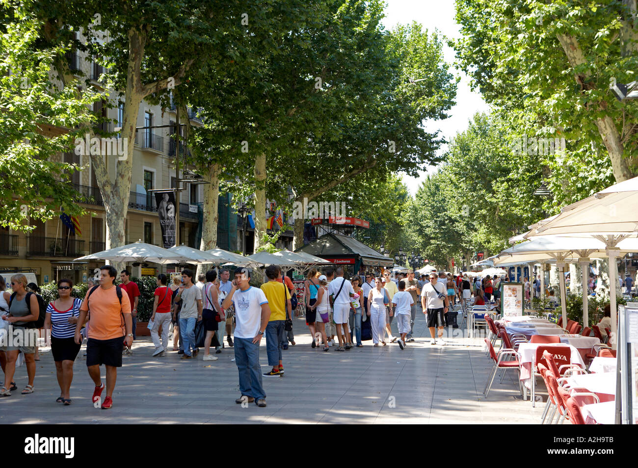 Barcelona las ramblas gaudi Banque de photographies et d’images à haute résolution - Alamy