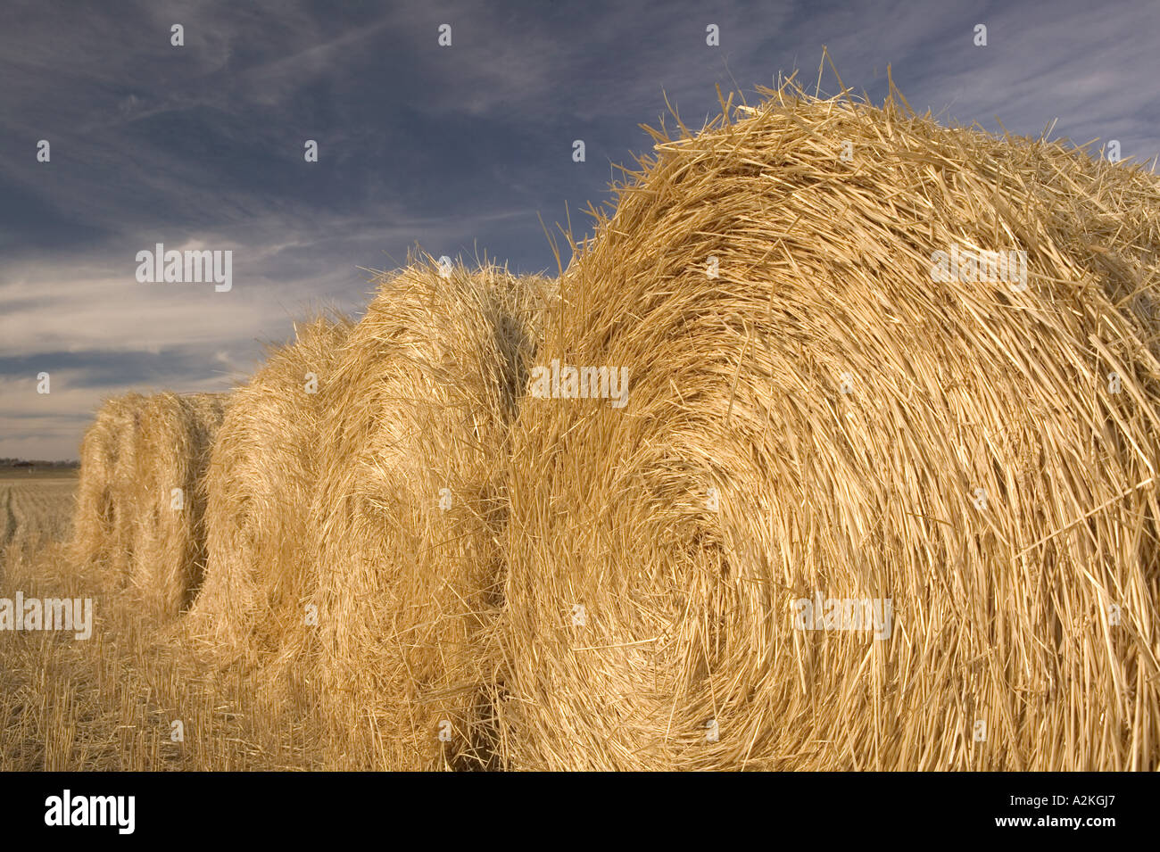 Craik saskatchewan Banque de photographies et d’images à haute ...