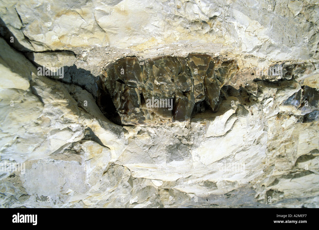 Chert nodule Banque de photographies et d’images à haute résolution - Alamy