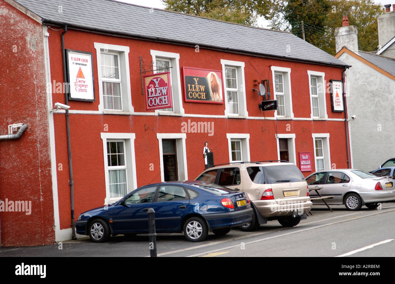 Llew coch Banque de photographies et d’images à haute résolution - Alamy