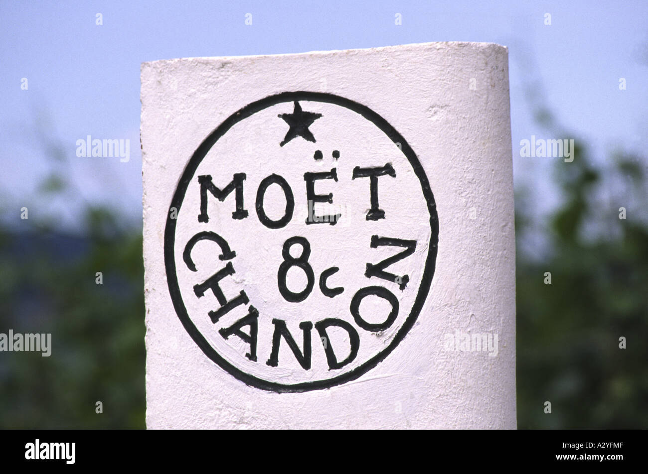 Moet et chandon vineyard Banque de photographies et d’images à haute ...