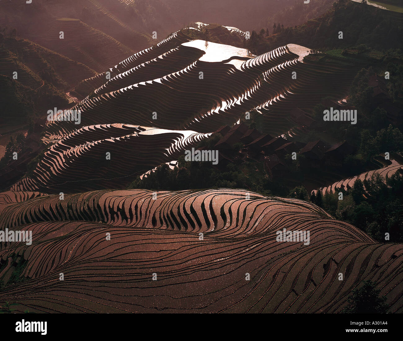 Gui zhou Banque de photographies et d’images à haute résolution - Alamy