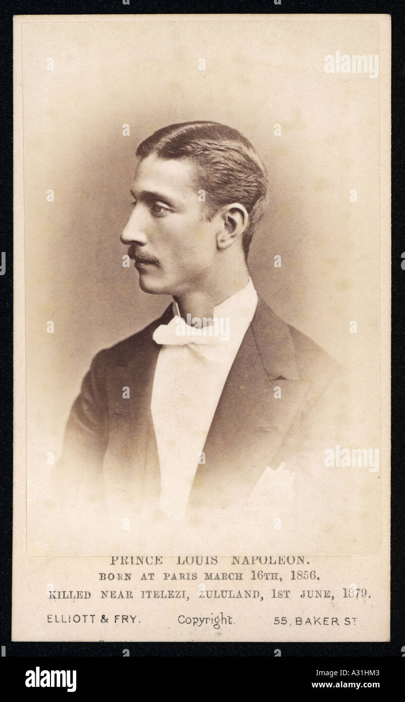 The prince imperial prince louis napoleon 1856 1879 Banque de ...