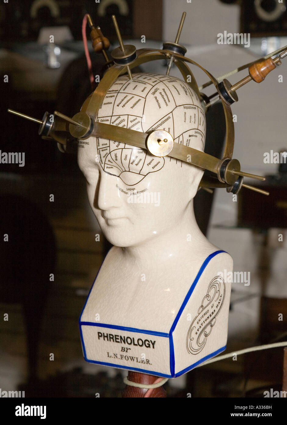 Phrenology model Banque de photographies et d’images à haute résolution ...