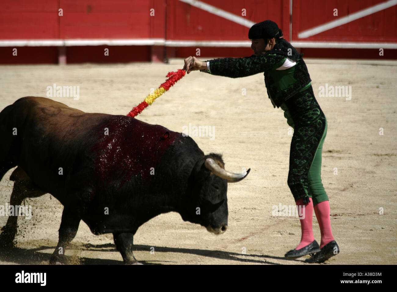 Corrida, les Arènes de Nîmes,FRANCE Photo Stock - Alamy